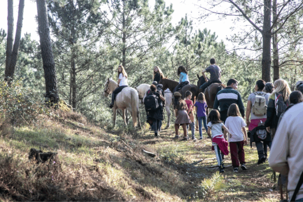 Land Commons - Culture for Climate Scotland